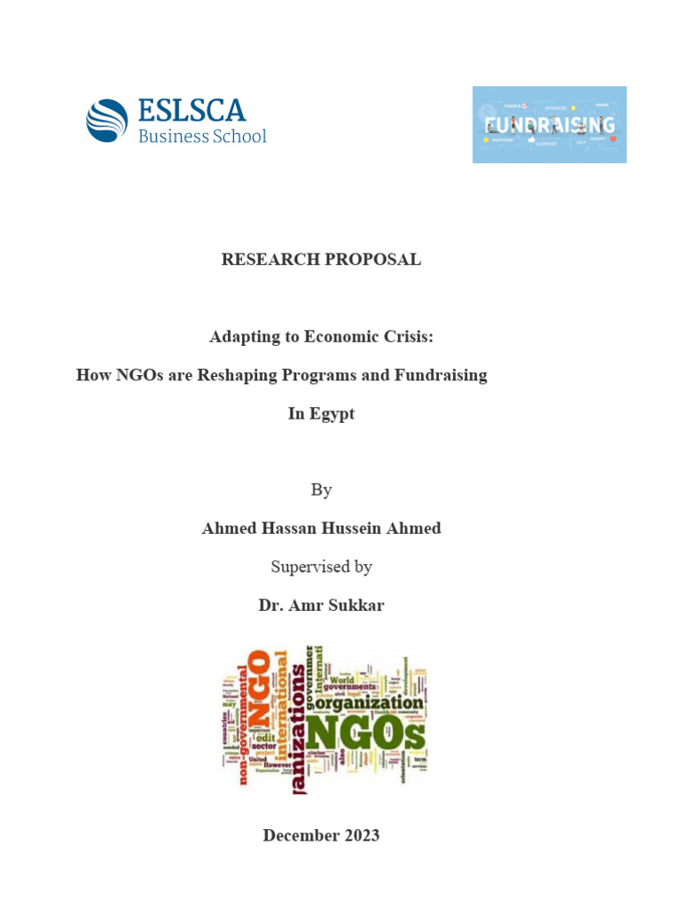 NGOs in Egypt: Adapting to Economic Crisis | PDF | Non Governmental ...