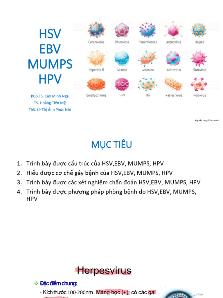 HSV, Ebv, Mumps, HPV | PDF