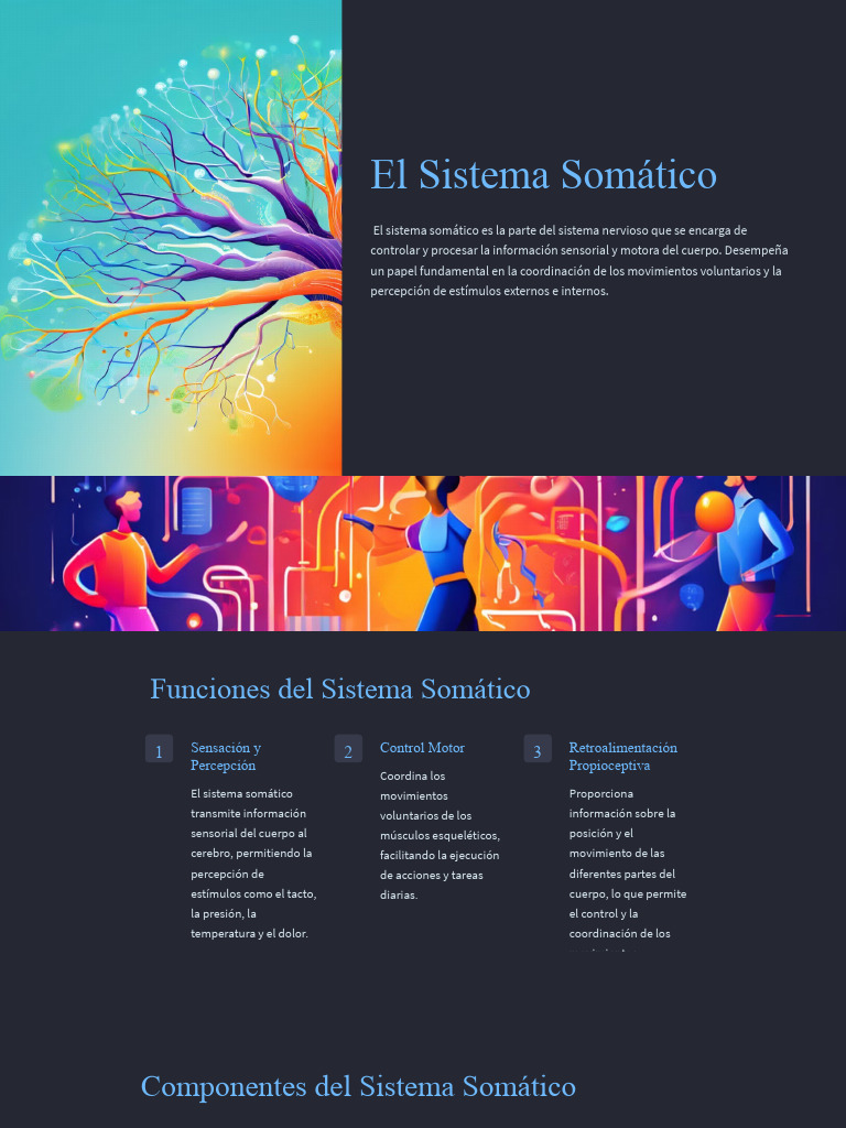 El Sistema Somatico | PDF | Sentidos | Sistema nervioso