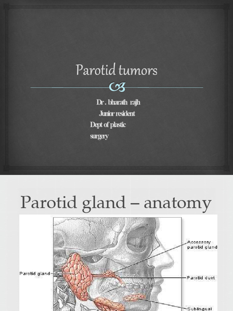 Parotid Gland Anatomy and Tumors Overview | PDF | Medical Specialties ...