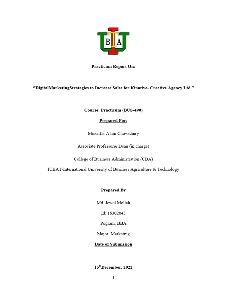 Sample REPORT | PDF | Digital Marketing | Marketing