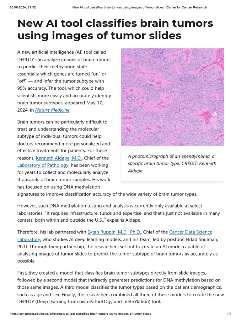 New AI Tool Classifies Brain Tumors Using Images of Tumor Slides - Center For Cancer Research ...