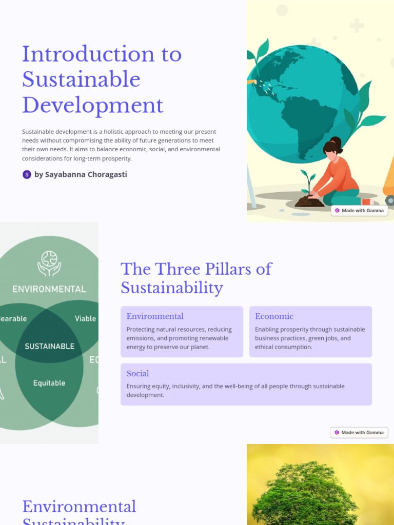 Introduction To Sustainable Development | PDF | Sustainability ...