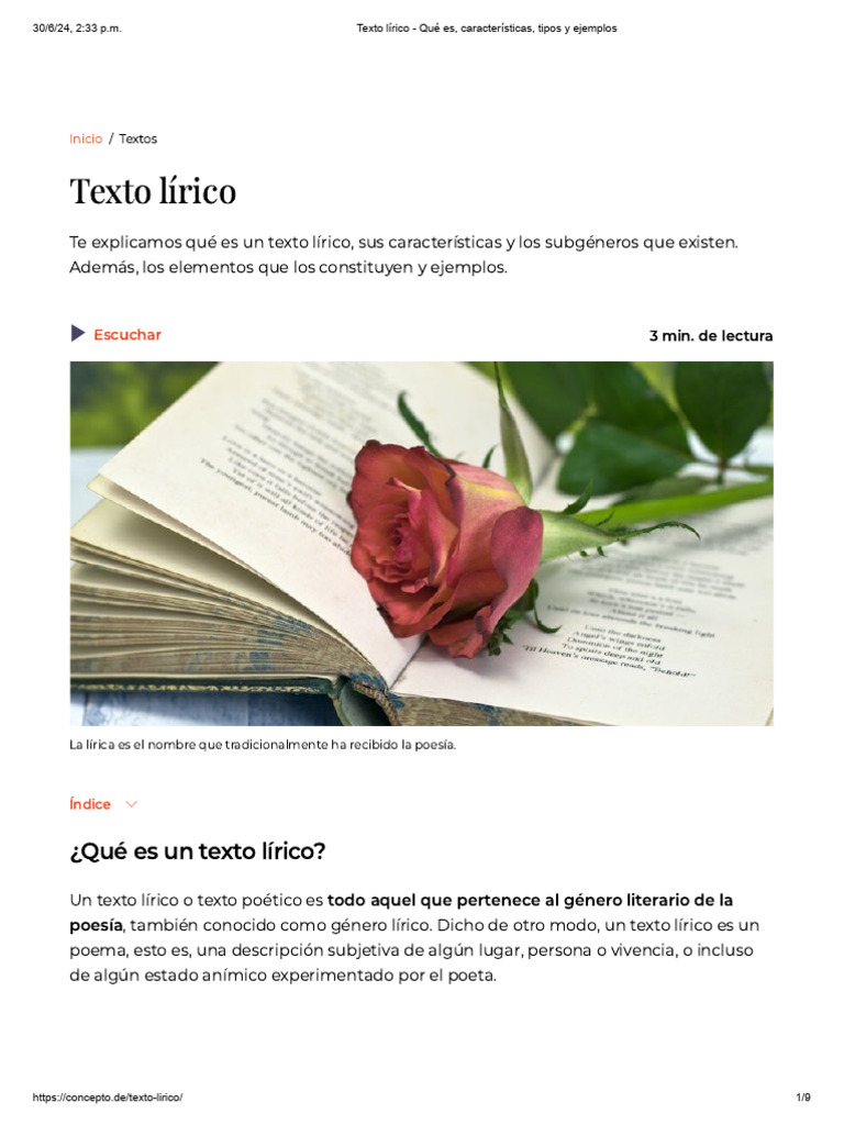 Características del Texto Lírico | PDF | Poesía | Rima