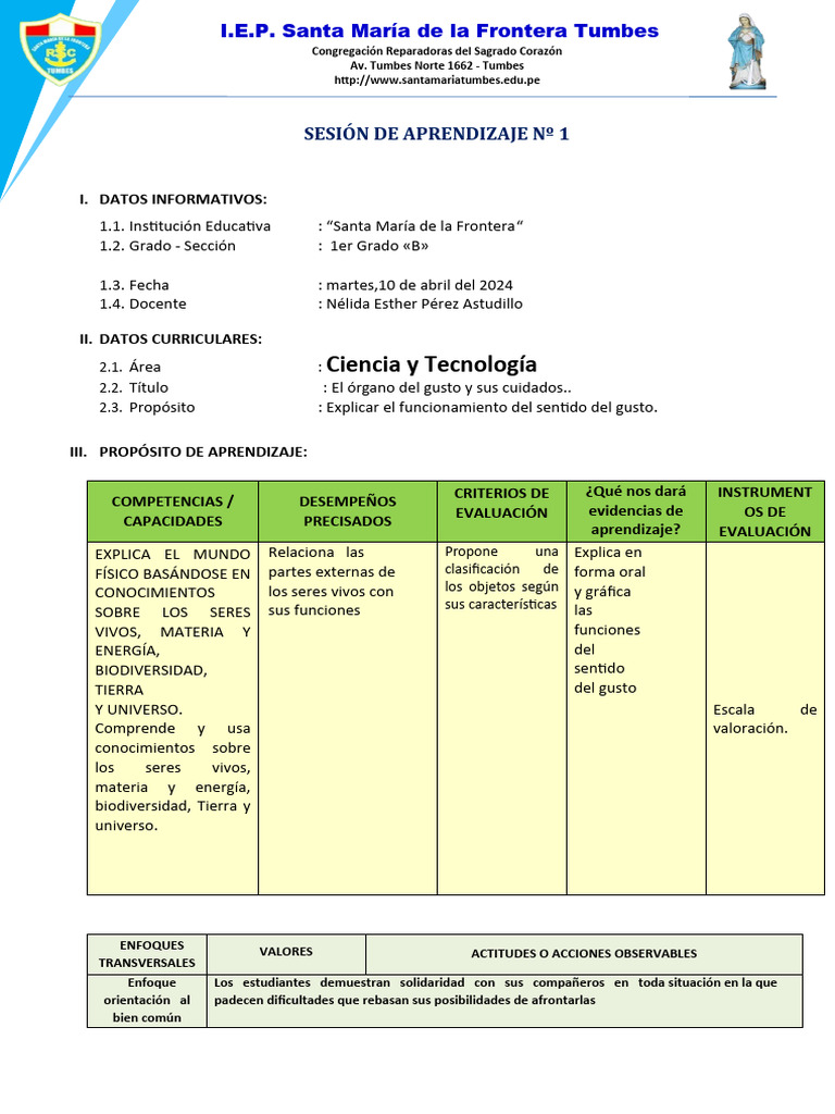 Sesión de Cyt | PDF | Evaluación | Aprendizaje
