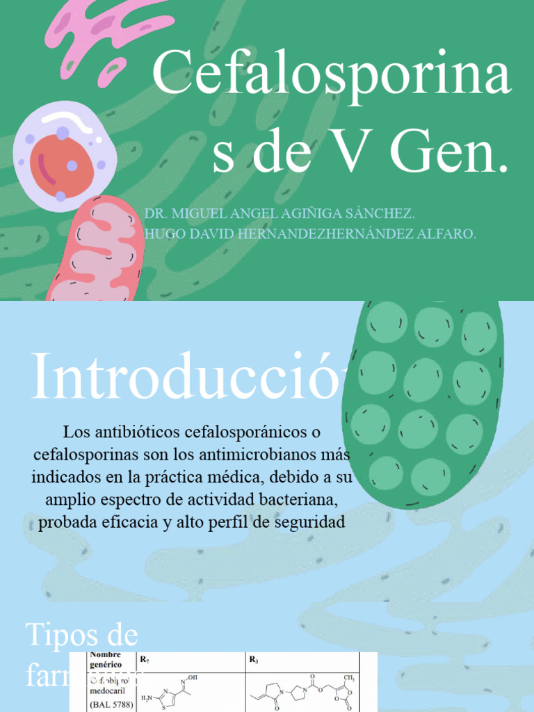 Cefalo Sporin As | PDF | Microbiología | Enfermedades y trastornos