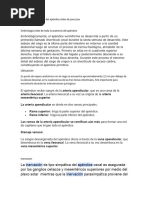 Anatomía y fisiología del apéndice | PDF | Intestino grueso | Tracto ...