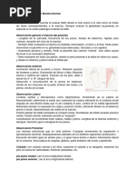 Marcha Steppage: Causas y Tratamiento | PDF | Electromiografia ...