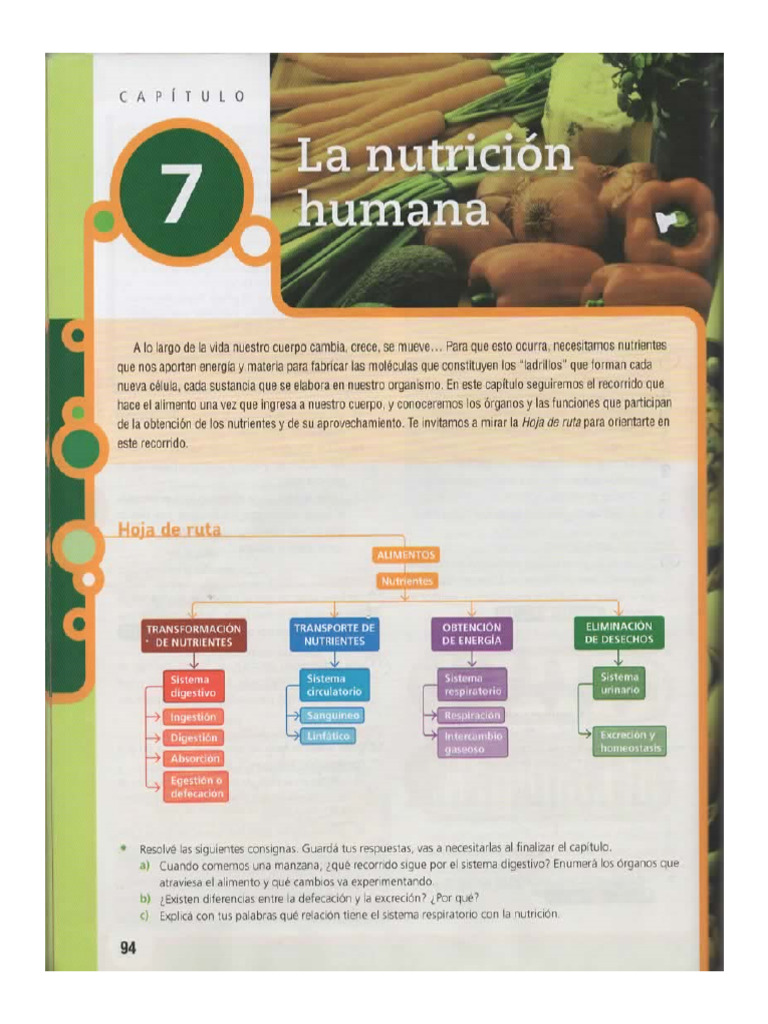 Biologia2 Seccion2 Cap7 | PDF
