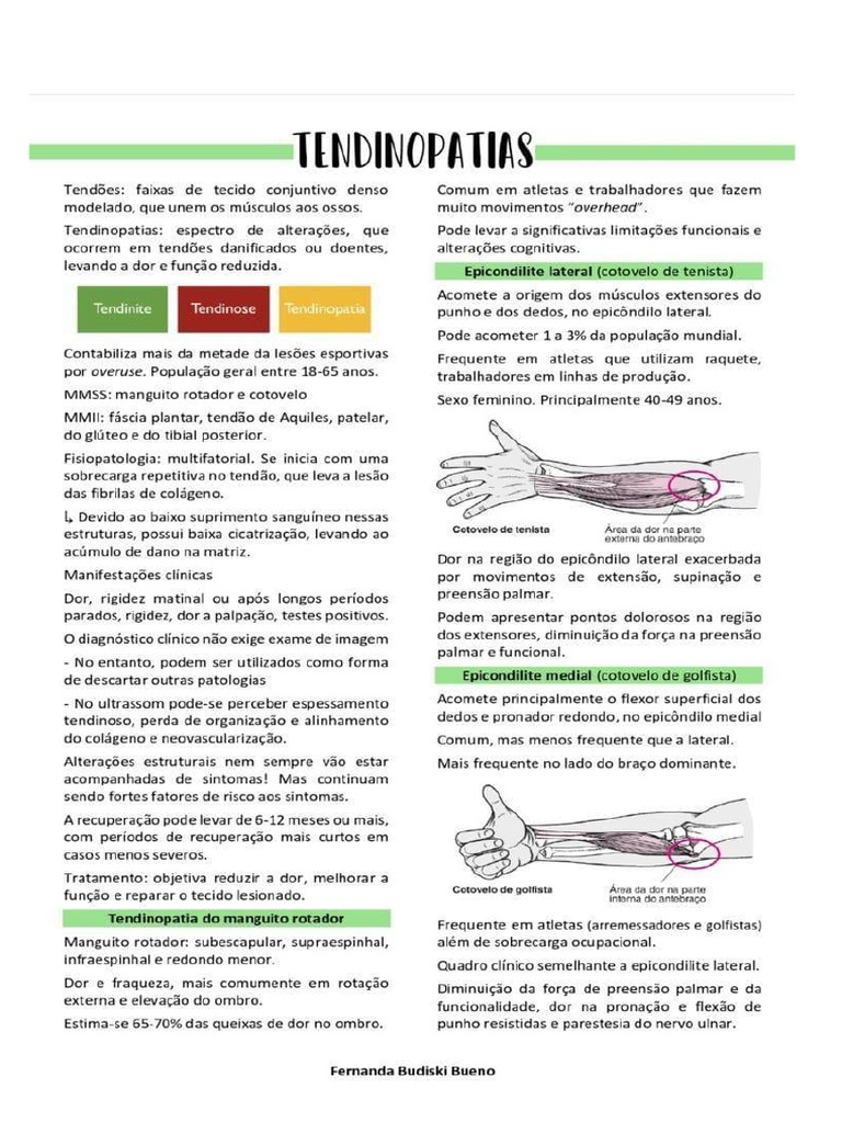 Tendi | PDF