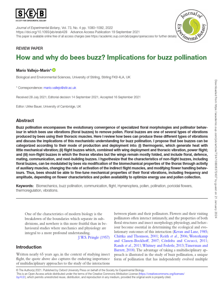 How and Why Do Bees Buzz Implications For Buzz Pollination | PDF | Resonance | Flowers