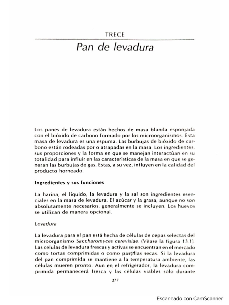 Capitulo 13 Pan de Levadura | PDF