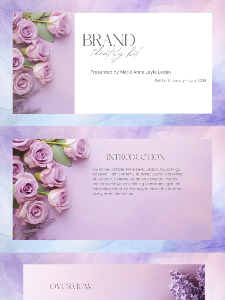 Brand Identity Kit Portfolio | PDF | Graphic Design