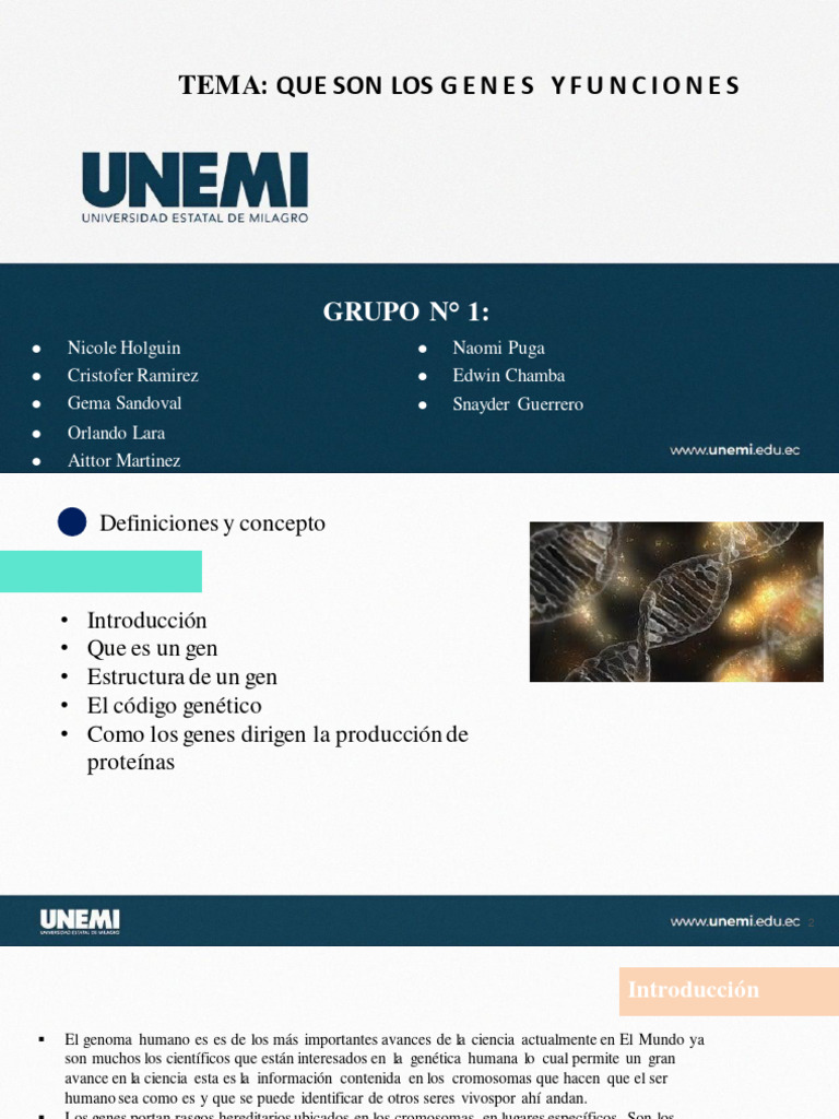 Genes y Funciones Expo GRUPO 1 | PDF | Gene | Adn