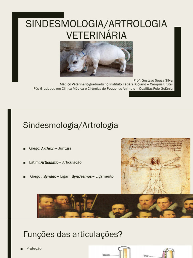 Sindesmologia e Artrologia Veterinária | PDF | Cartilagem | Osso