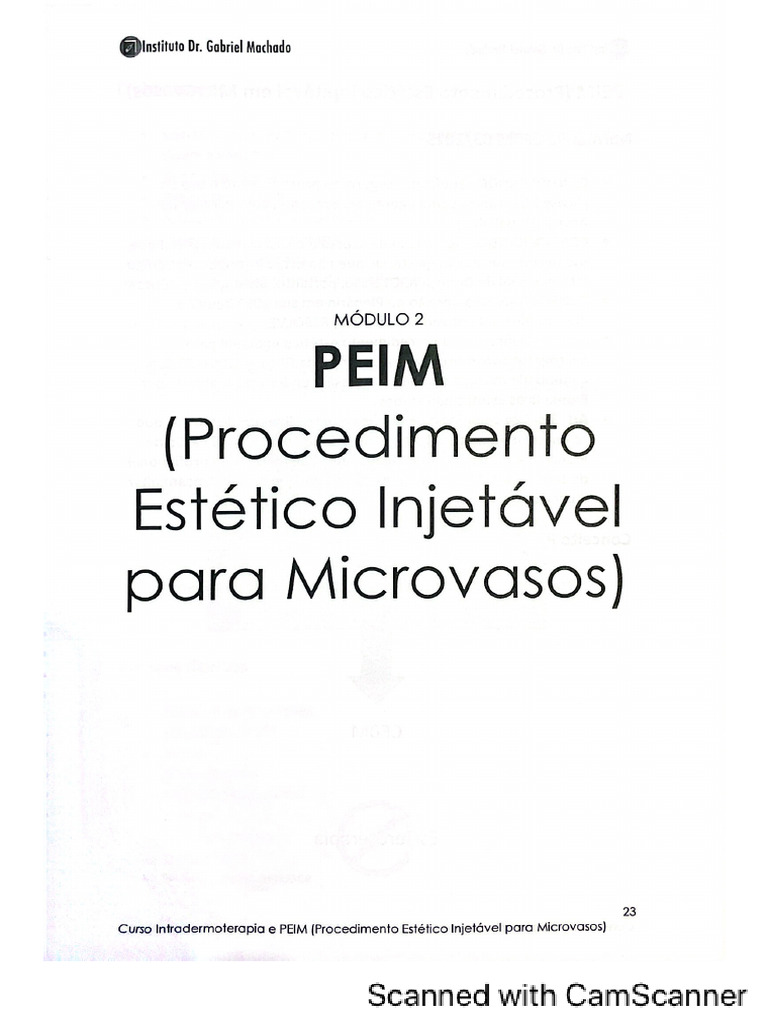 PEIM | PDF