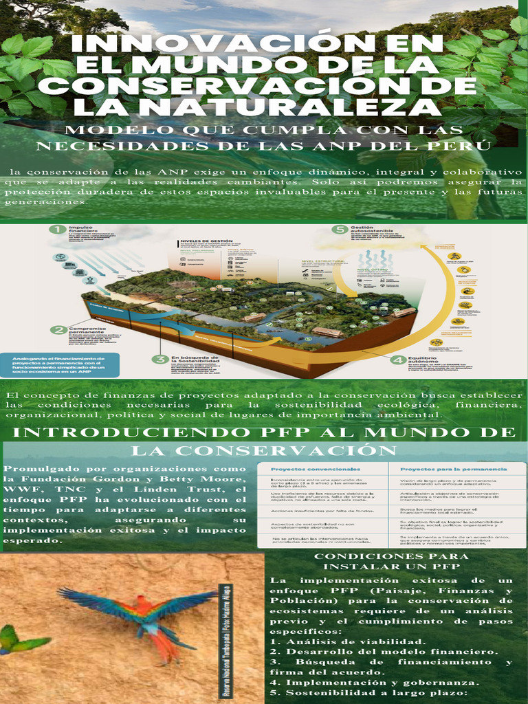 Modelo PFP para ANP en Perú | PDF | Sustentabilidad | Desarrollo sostenible