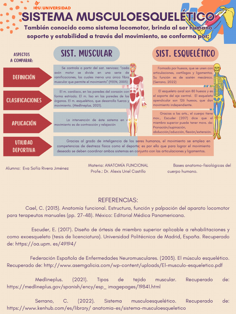 Activiad 1. Bases Anatomo-Fisiologias Del Cuerpo Humano | PDF
