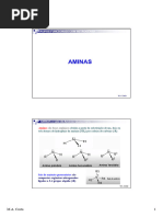 Aminas e Amidas | PDF | Amina | Amida