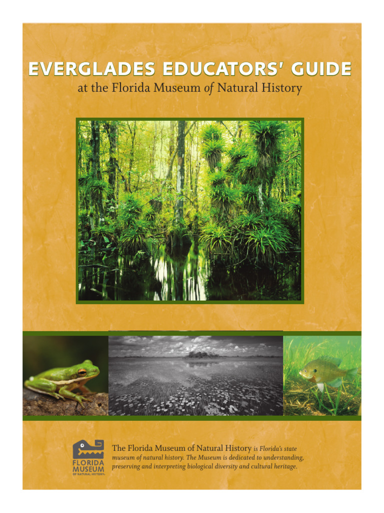 Everglades Educator Guide | PDF | Everglades | Coral Reef