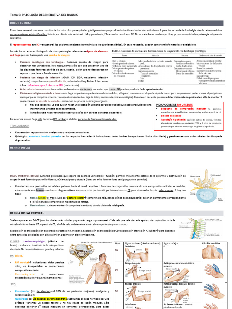 Tema 6. Patología Degenerativa de Columna | PDF | Dolor lumbar | Sistema musculoesquelético