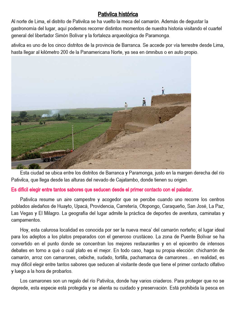 Pativilca: Meca del Camarón y Historia | PDF | Alimentos | Cocina