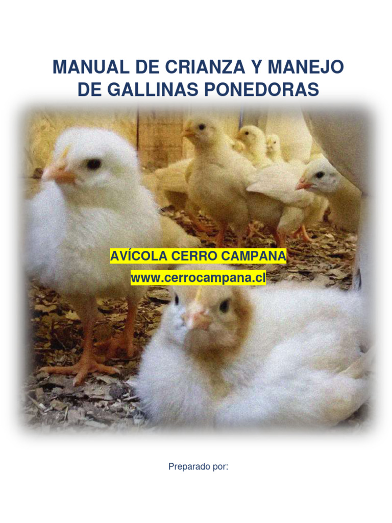 2manual Cliente Manejo Pollas Ponedoras Rev 2 | PDF | Aves | Pollo