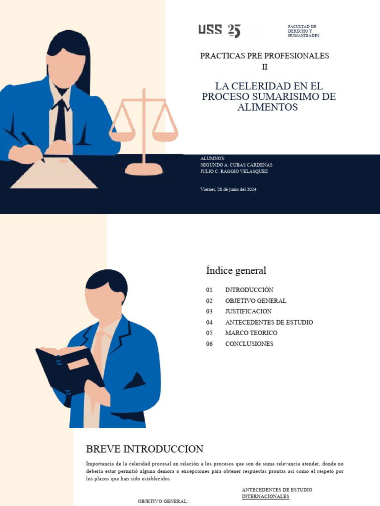 Celeridad en Procesos de Alimentos | PDF | Ley procesal | Esfera pública