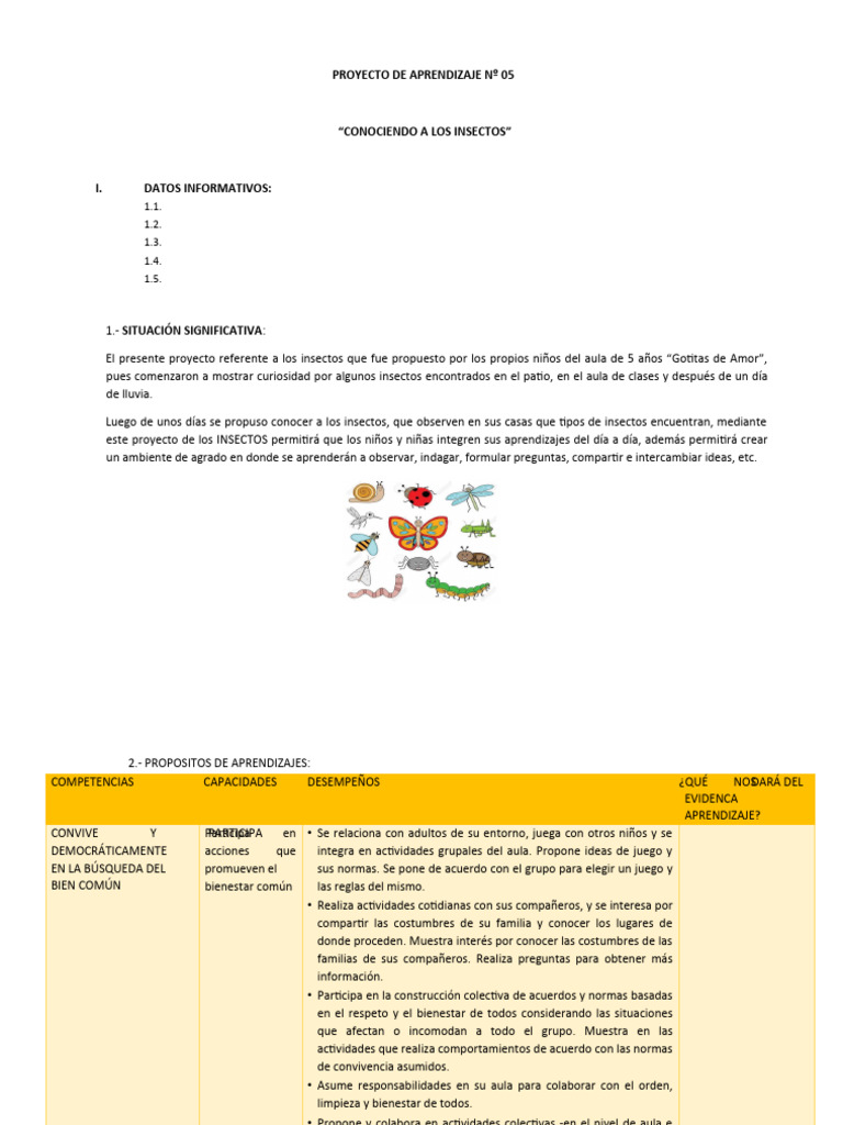 Proyecto de Los Insectos Junio | PDF | Aprendizaje | Observación