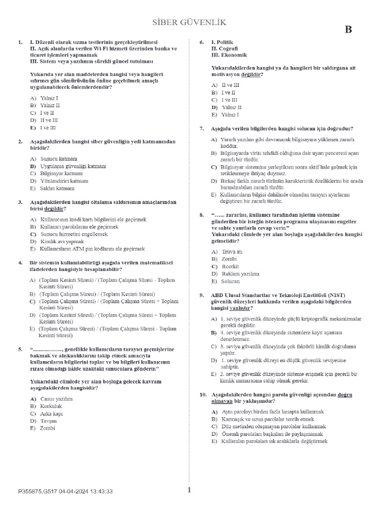 Siber Guvenlik 2024 Vize | PDF