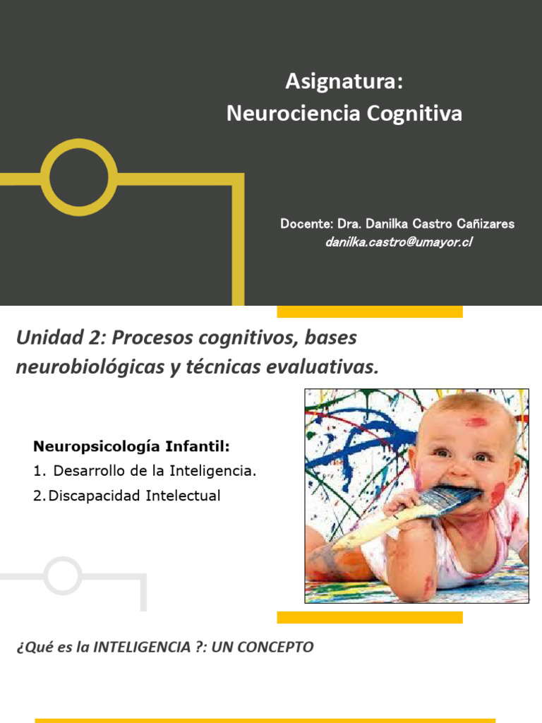 Taller 3 - Neuropsicología Infanto-Juvenil - Inteligencia y Discapacidad Intelectual 2023 ...