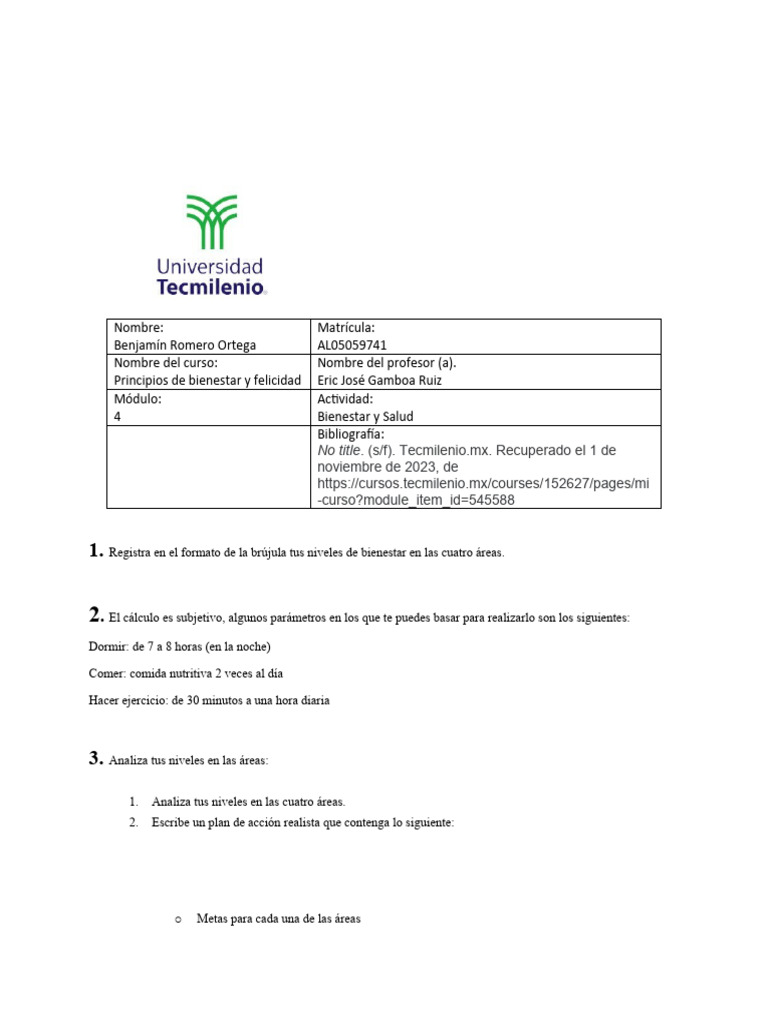 Plan de Acción Que Contenga Metas, Tiempos y Medición de Logros. | PDF ...