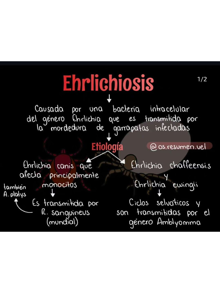 Ehrlichiosis | PDF