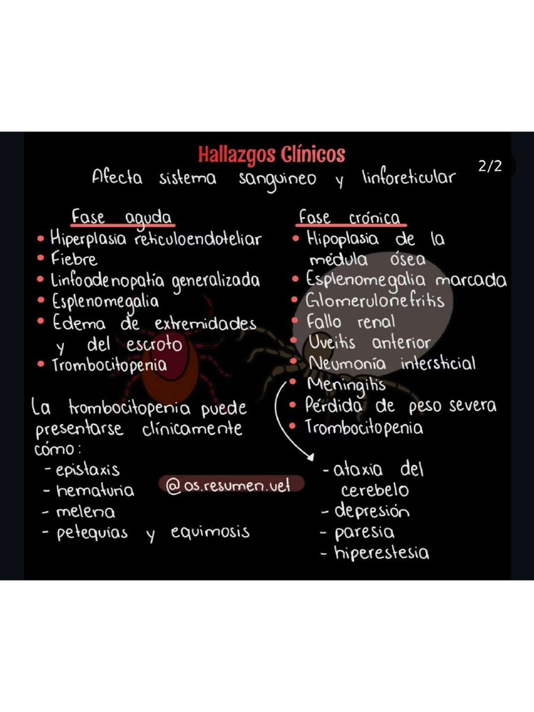 Ehrlichiosis Hallazgos Clínicos | PDF
