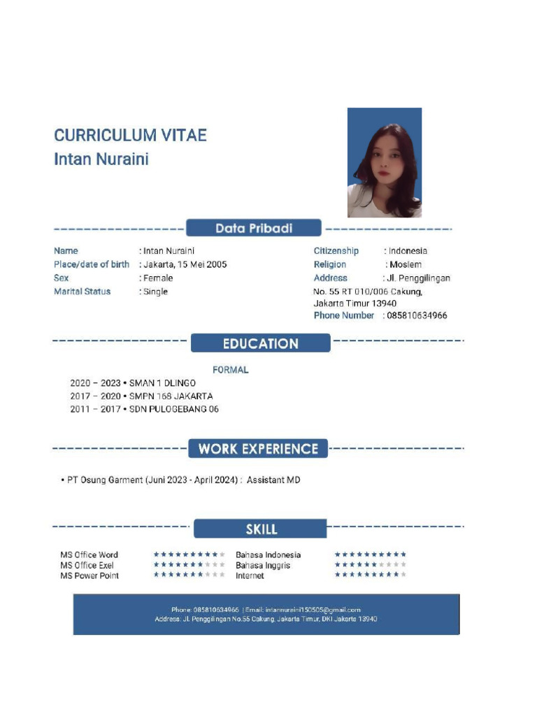 CV Intan Nuraini | PDF