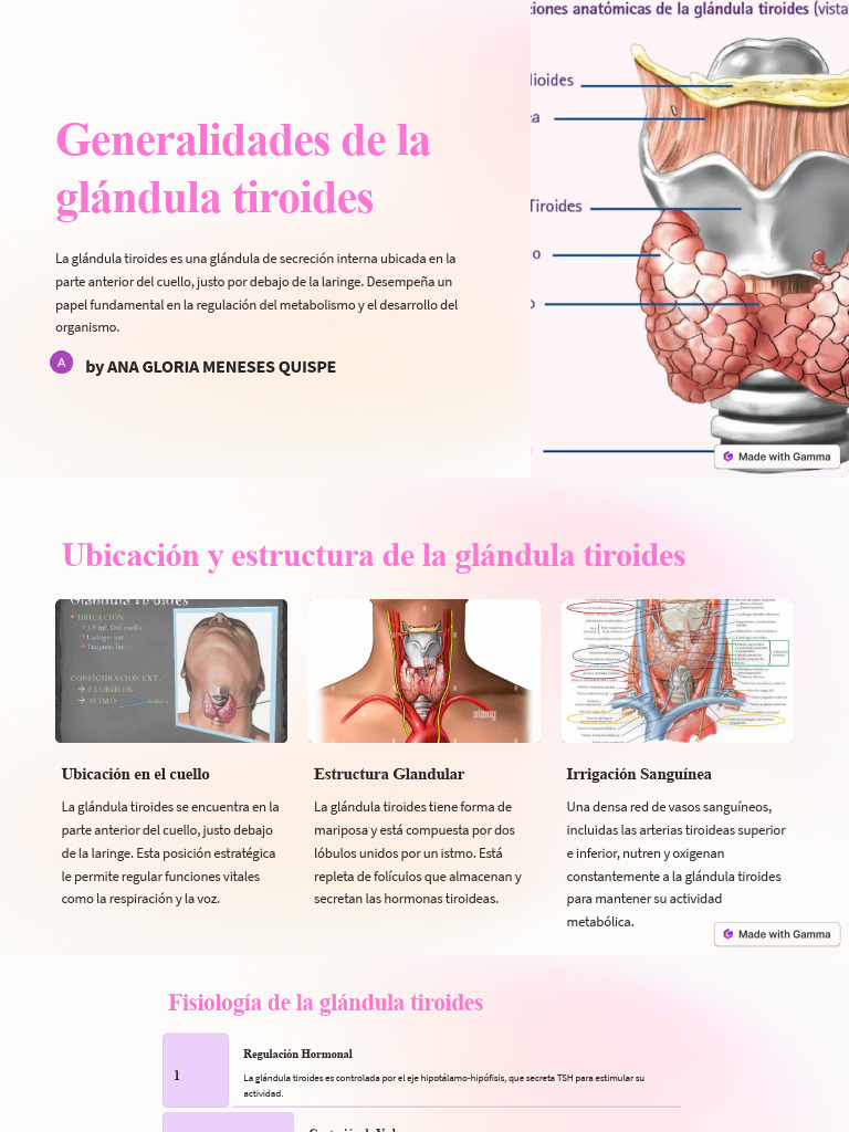 Anatomía y Función de la Tiroides | PDF | Tiroides | Hormona estimulante de la tiroides