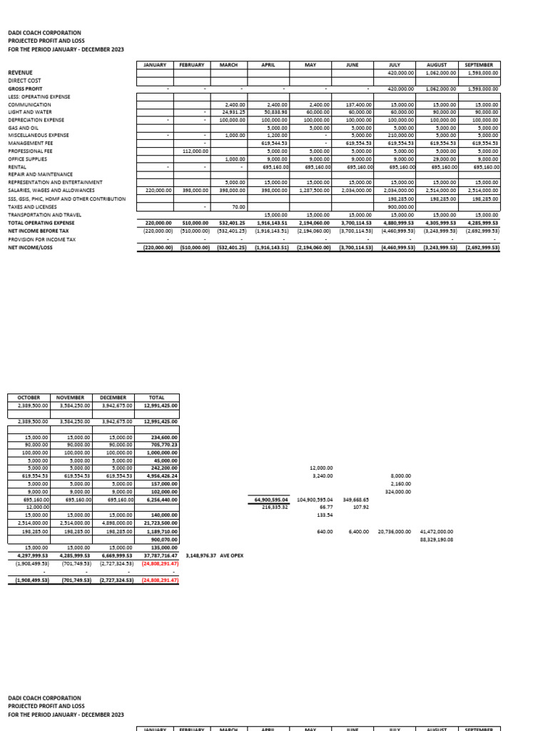 Projected Profit and Loss 2023 | PDF | Expense | Income Statement
