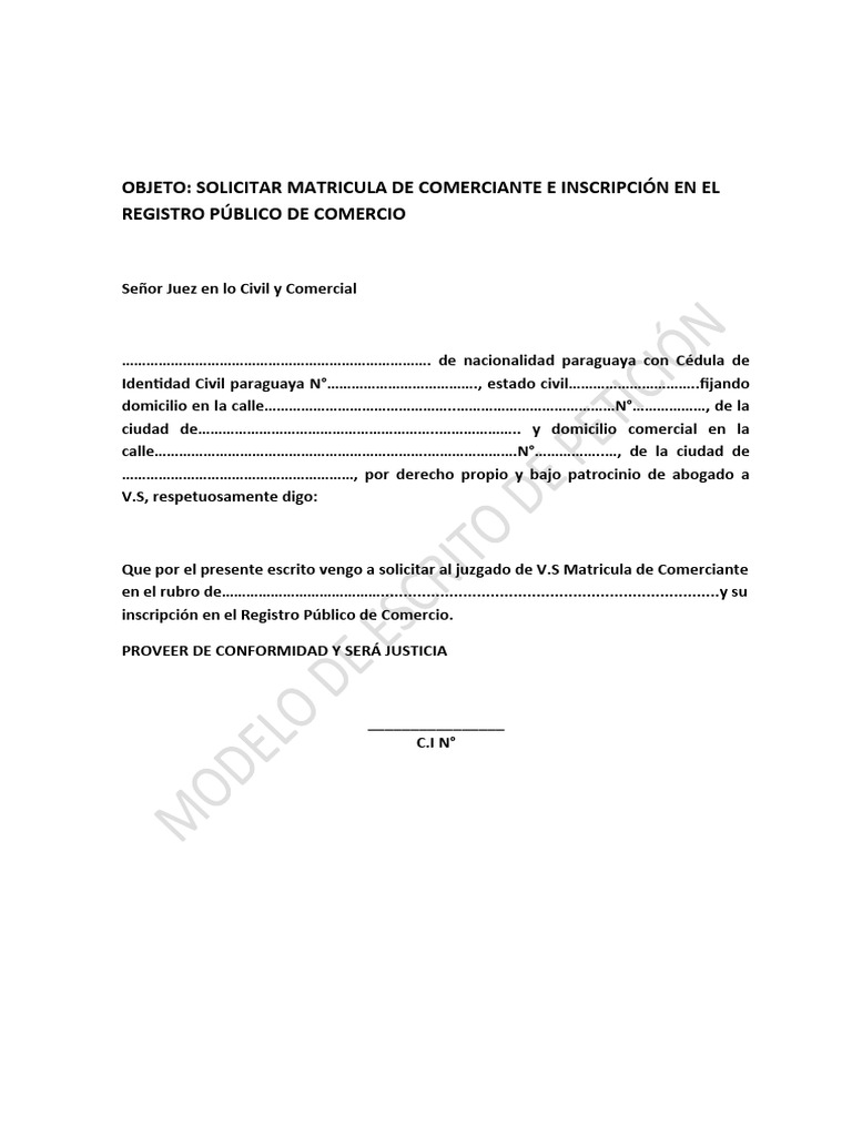 Modelo de Escrito de Peticion | PDF