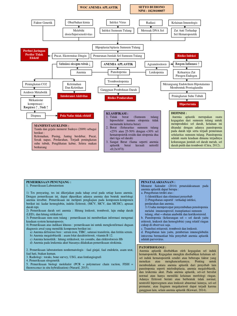 Woc Anemia Aplastik | PDF