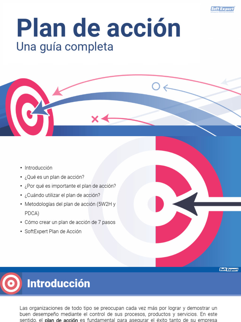 Plan de Accion | PDF | Business | Planificación