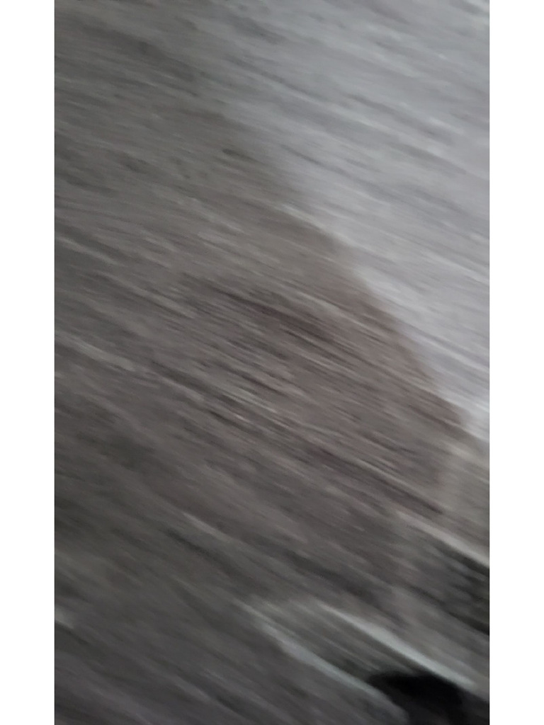 11zon Jpeg To Pdf Pdf