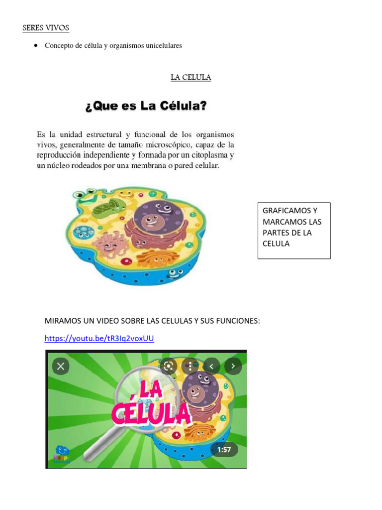 Secuencia Didactica La Celula-1 | PDF