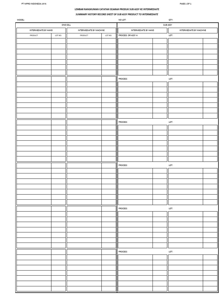 Input History Pdf 