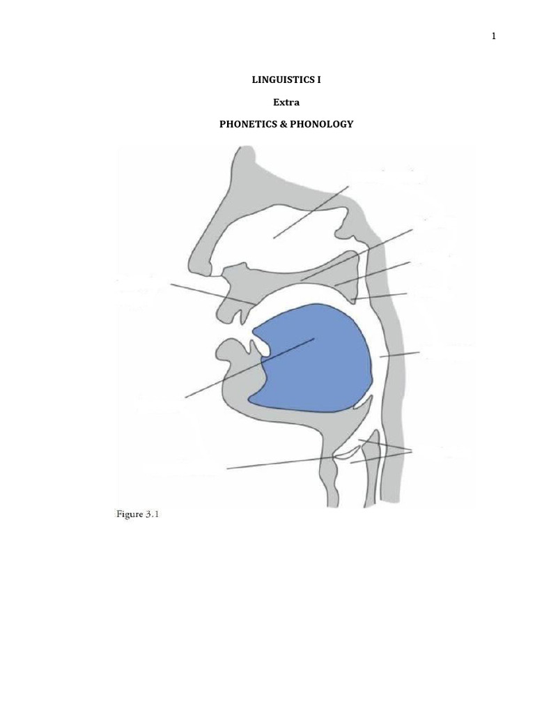 Mixed Exercises | PDF | Consonant | Linguistics