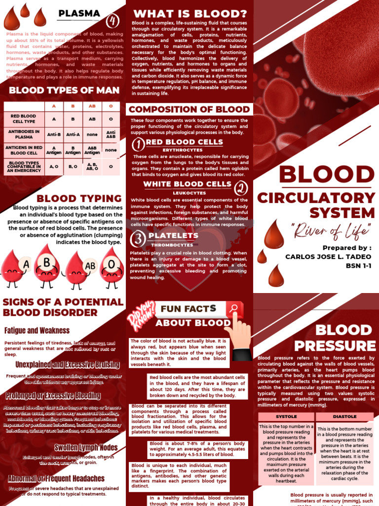 Blood:Circulatory System Brochure | PDF | Blood | Blood Pressure