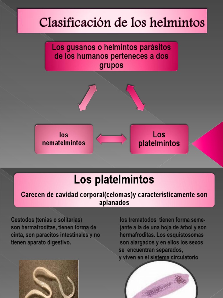 Clasificación de Los Helmintos | Inmunología | Ciencias de la Salud