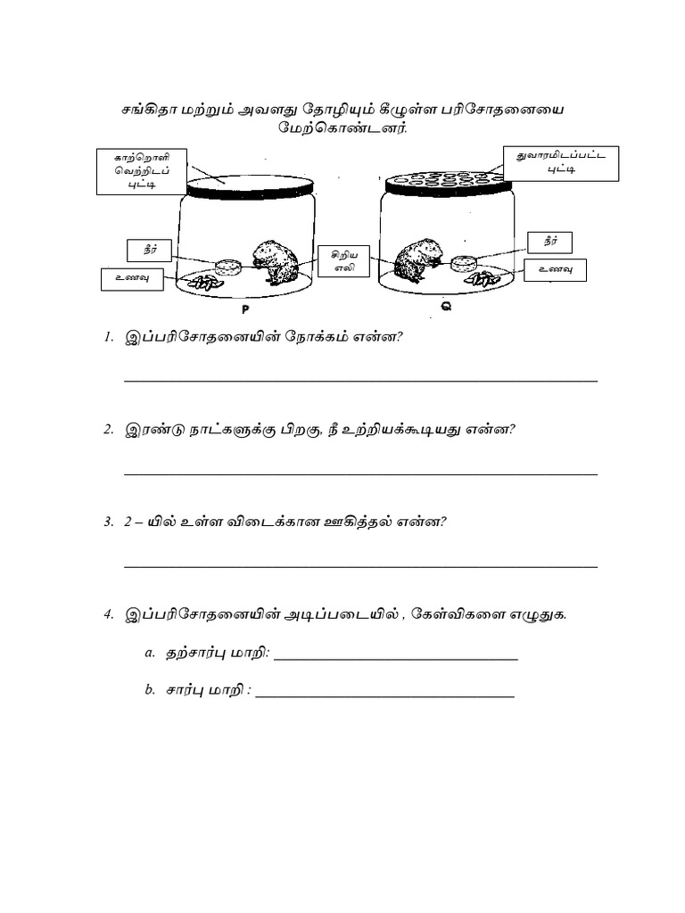 Latihan Sains SJKT Tahun 4 | PDF