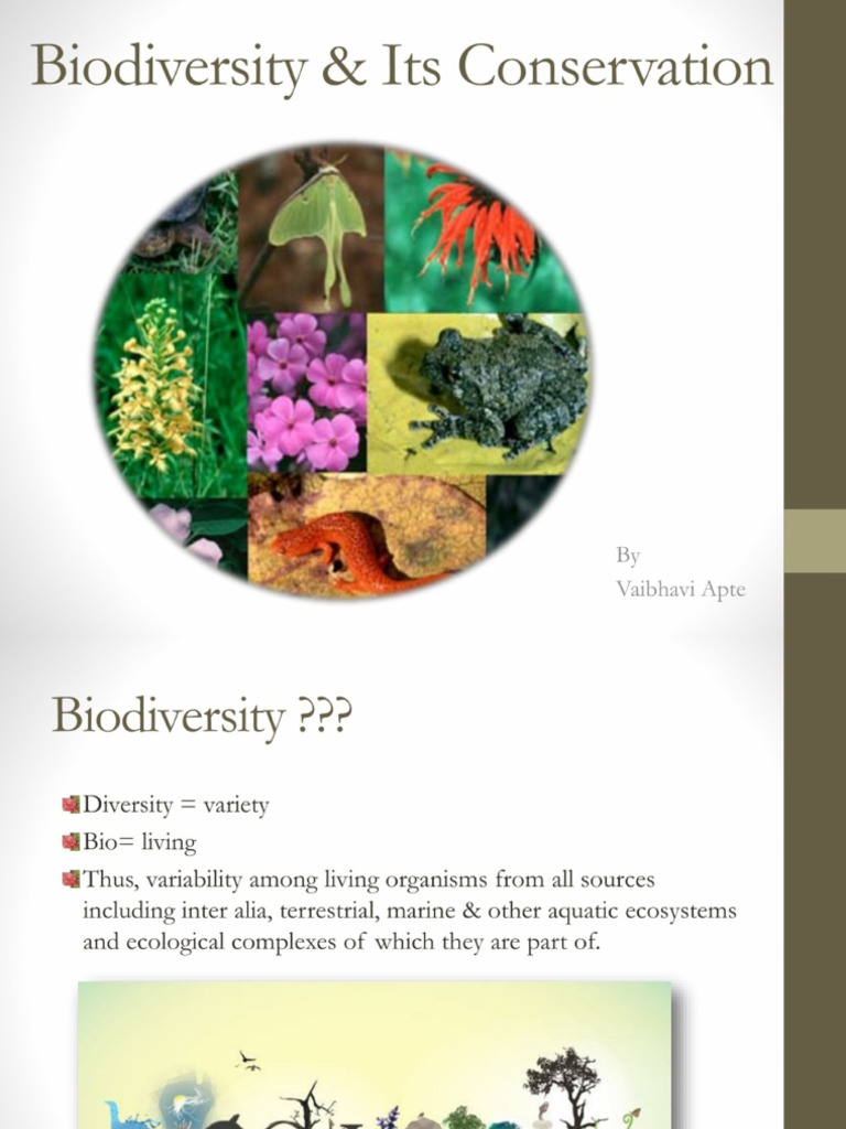 Biodiversity and Its Conservation | PDF