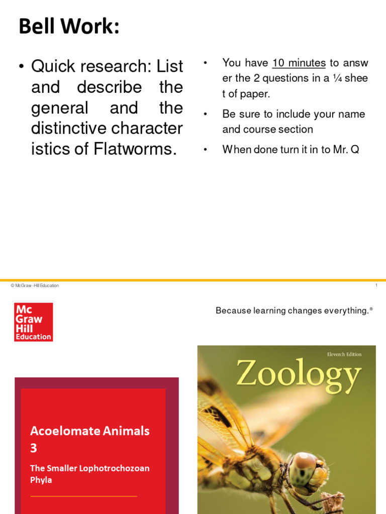 5 Acoelomate Animals 3 | PDF | Protostomes | Biology