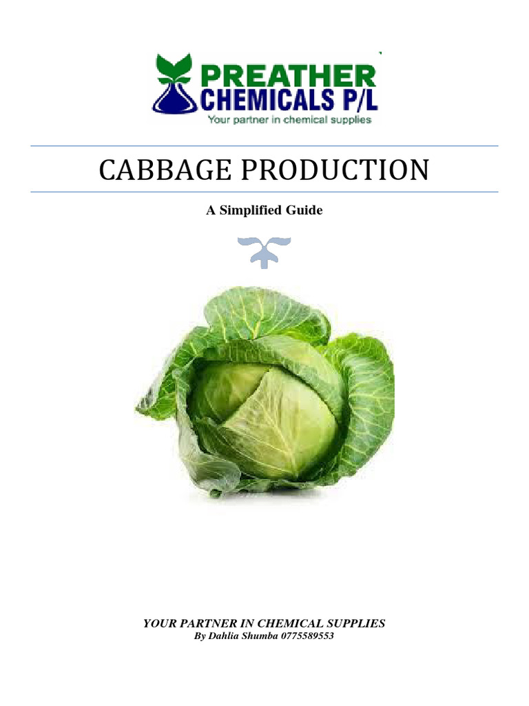 Cabbage Simplified Guide by Dahlia | PDF | Cabbage | Seed